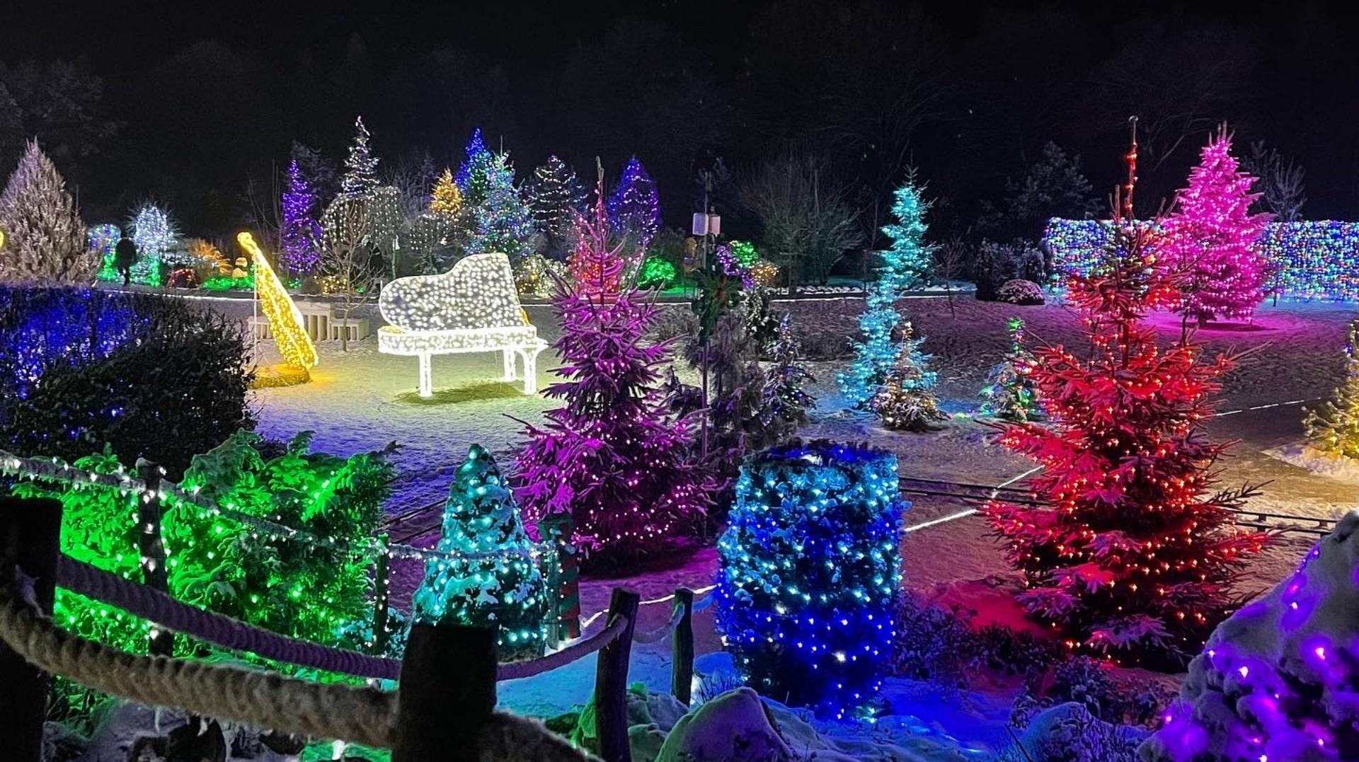 Deli Park | Strona główna