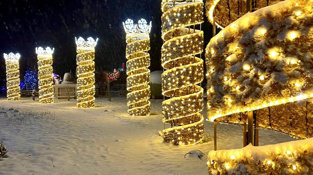 Deli Park | Strona główna